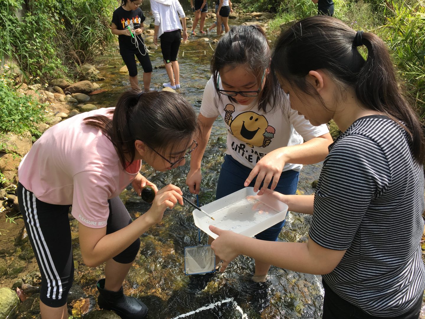S5 Biology Field Study Course - 聖嘉勒女書院